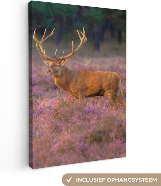 OneMillionCanvasses - Canvas - Hert - Gewei - Edelhert - Paars - Veluwe ...