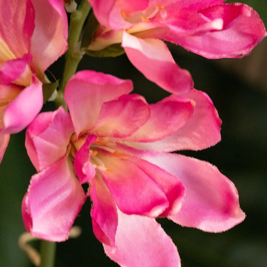 Freesia Kunsttak 53cm Cerise | bol