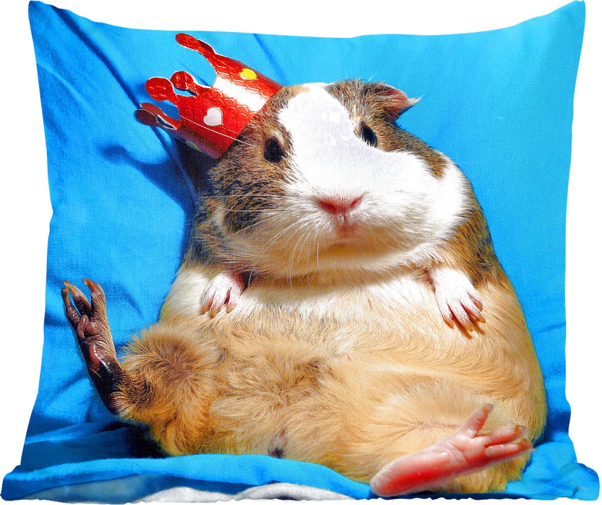 Sierkussen - Cavia Grappig Kroon - Multicolor - 50 Cm X 50 Cm | bol.com