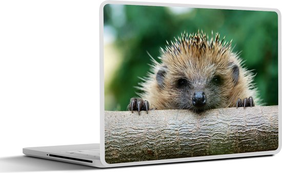 Laptop sticker - 14 inch - Egel bijt in hout - 32x5x23x5cm ...