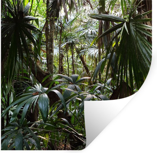 Stickers muraux - Feuille Autocollant - Plantes dans la Forêt Tropicale ...