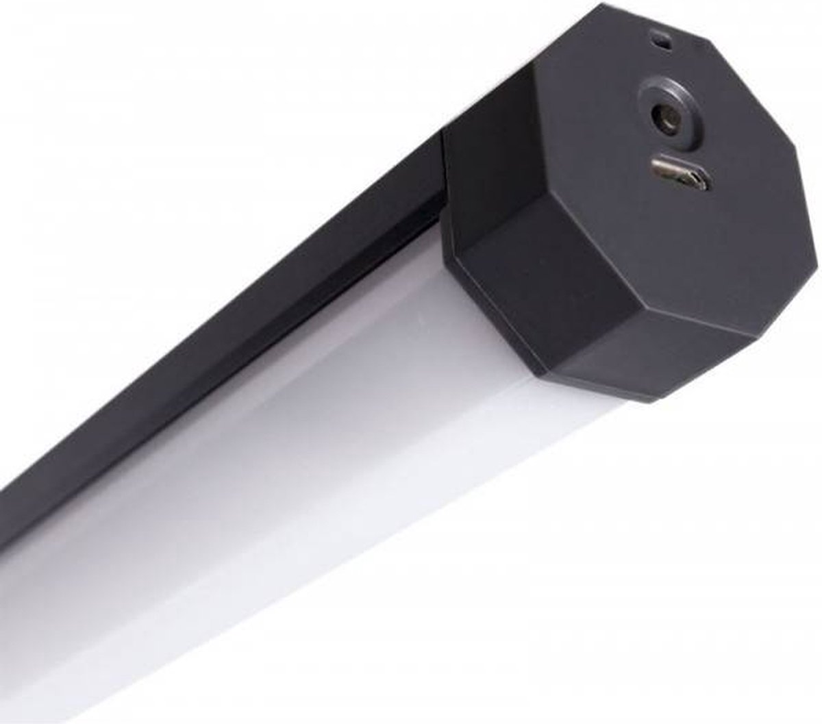 Ridgemonkey Bivvy Lite Plus - Lamp - Wit | bol.com