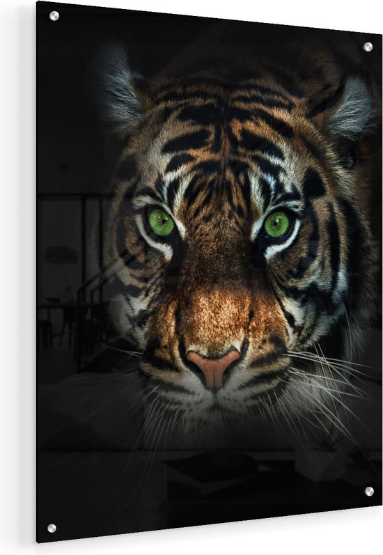 Artaza Glasschilderij - Tijgerkop Met Groene Ogen - Tijger - 40x50 - Plexiglas... | bol