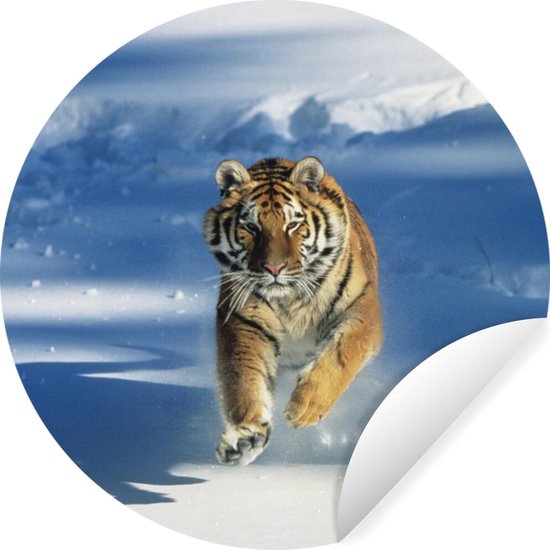 WallCircle - Muurstickers - Behangcirkel - Siberische tijger in actie in de sneeuw -... | bol