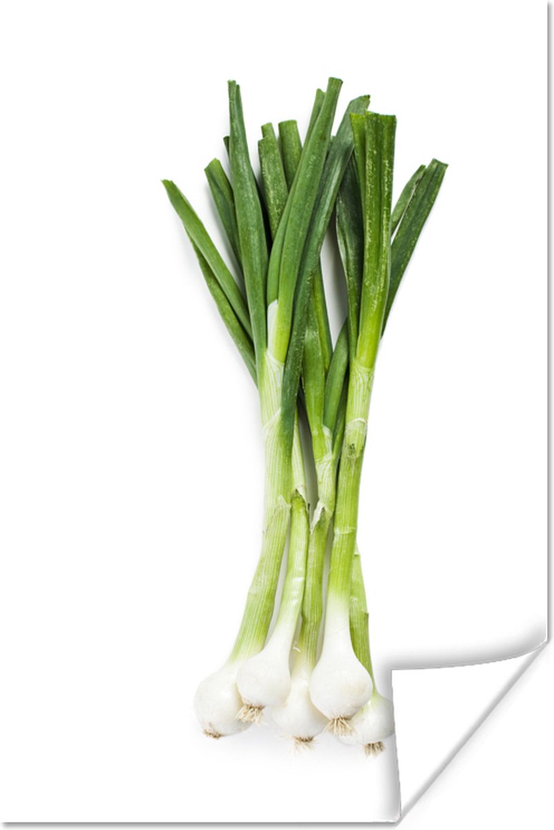 Gros plan d'oignon de printemps bio sur fond blanc Poster 20x30 cm ...