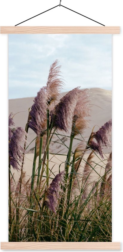 Schoolplaat - Pampasgras - Zand - Planten - Duin - 60x120 cm - Blanke latten | bol.com