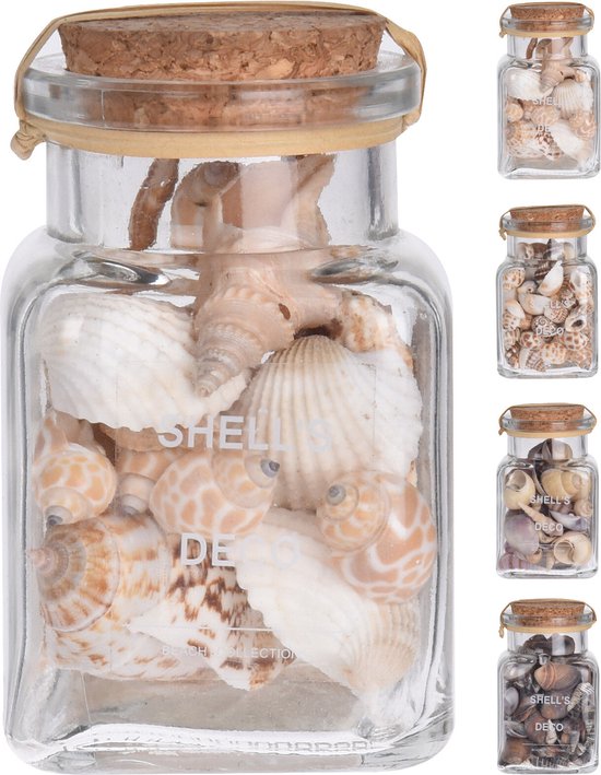 Schelpen in glazen pot 4 assortiNampook | bol.com