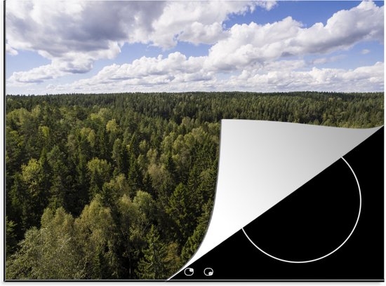 Inductie beschermer - Inductie Mat - Bomen zo ver het oog reikt onder ...