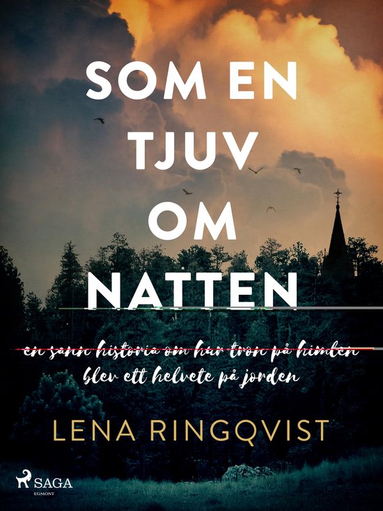 Som en tjuv om natten (ebook), Lena Ringqvist | 9788728263693 | Boeken ...