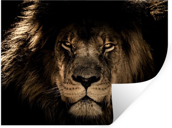 Muurstickers - Sticker Folie - Leeuw - Dieren - Zwart - Portret - 40x30 cm - Plakfolie... | bol