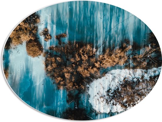 WallClassics - PVC Schuimplaat Ovaal - Bevroren Meer - 56x42 cm Foto op ...