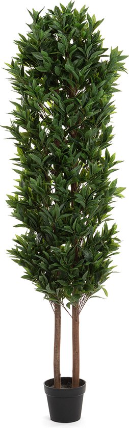 Foretti laurierboom - Kunstplant - 190 cm - Voor binnen- en ...