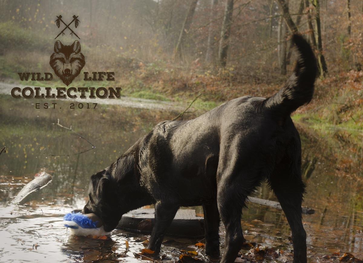Wild Life Collection Dog Duck (Eend) | bol.com