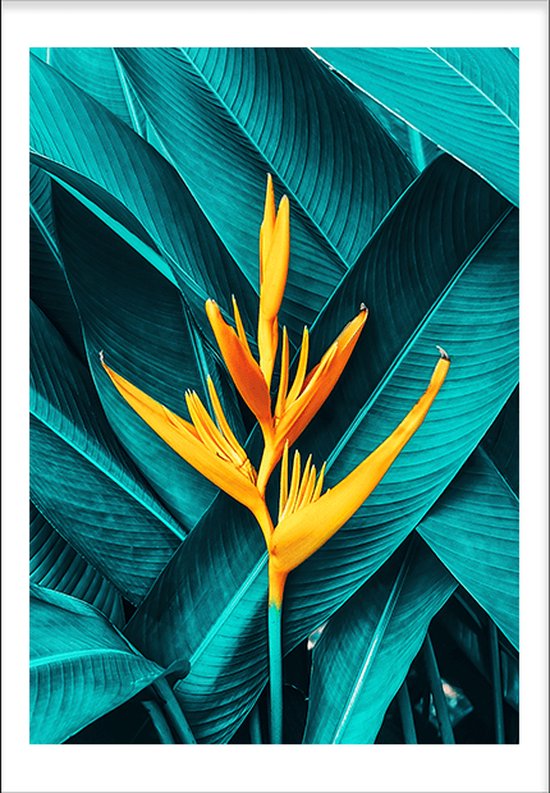 Tropical Flower Poster - Wallified - Natuur - Landschap - Zee - Poster ...