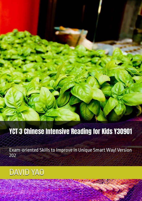 YCT - YCT 3 Chinese Intensive Reading for Kids Y30901 新中小学生汉语考试 (ebook ...