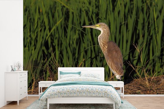 Behang - Fotobehang Ralreiger zit voor het riet - Breedte 330 cm x ...