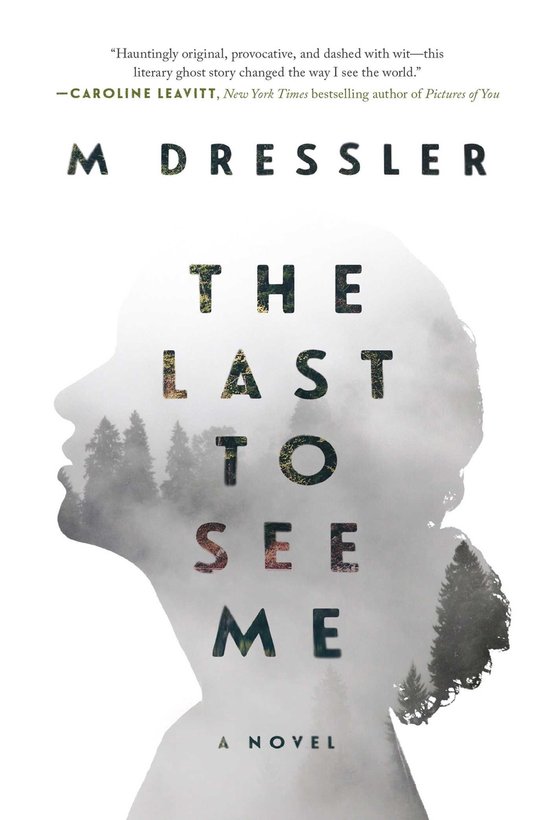 The Last Ghost Series 1 - The Last to See Me (ebook), M Dressler ...