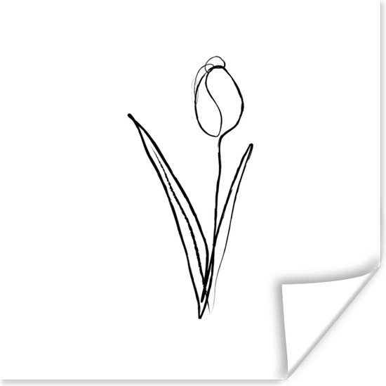 Poster Tulp - Bloem - Line art - 50x50 cm | bol