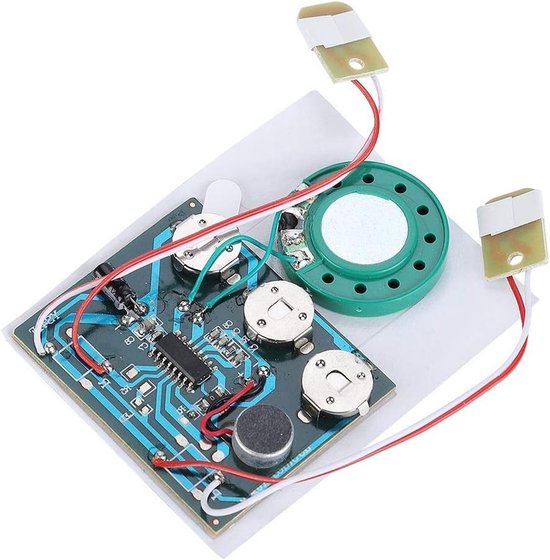 Recordable Music Sound Voice Module Chip met 0.5W Speaker en ...