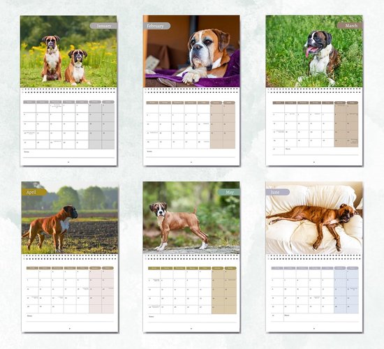Honden Kalender 2026: Maandkalender A4 Boxer Design met Ruimte voor ...