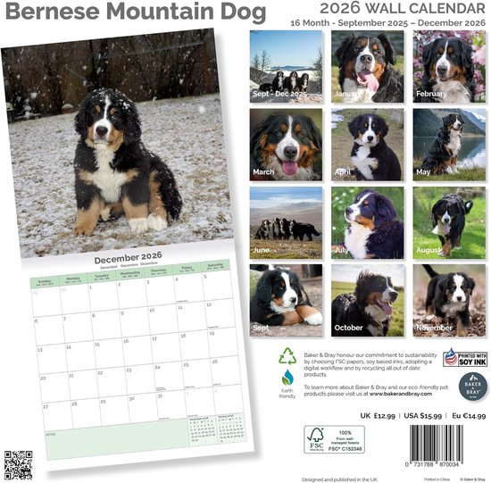 Berner Sennen Kalender 2026 | bol