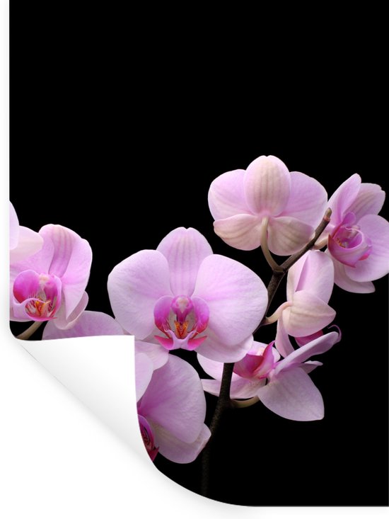 Muurstickers - Sticker Folie - Orchidee - Bloemen - Roze - Flora - 30x40 cm -... | bol