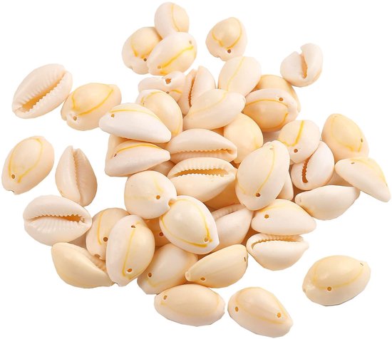 HERZWILD schelpen ambachtelijke schelpen met gaten Ideaal voor ...