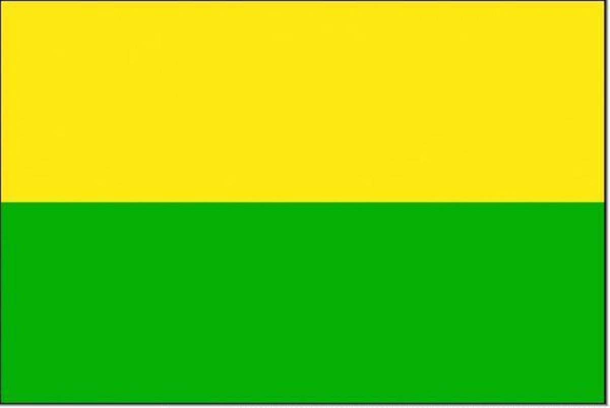 Vlag Den Haag 200x300cm | bol.com