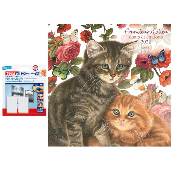 Huisdieren/dieren kalender 2022 poezen/katten getekend 30 cm incl. 2 ...