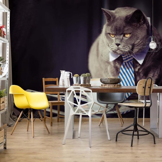 Fotobehang - Vlies Behang - Zwarte Zakenman Kat - 368 x 254 cm | bol