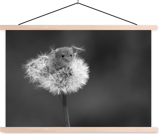 Schoolplaat - Jonge muis balanceert op paardenbloem - zwart wit ...