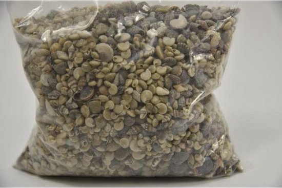 Schelpen - Shell Mix Mini 1kg | bol