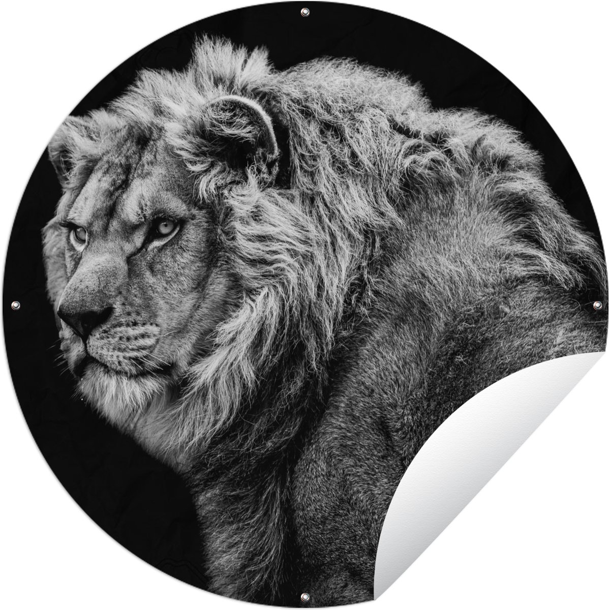 Garden Circle Lion - Portrait - Animaux Sauvages - Zwart - Wit ...