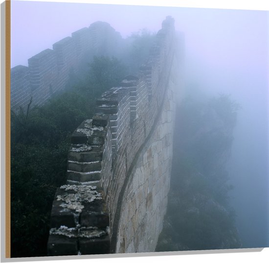 WallClassics - Hout - Hoge Begroeide Stenen Muur - 100x100 cm - 9 mm ...