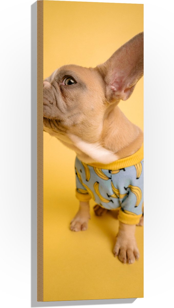 WallClassics - Hout - Hondje met Bananen Pak met Gele Achtergrond ...