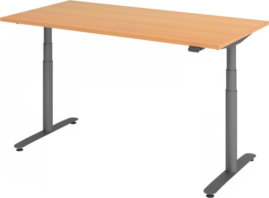 XDLR 16 G | 160x80 | Bureau elektrisch in hoogte verstelbaar - Beuken ...