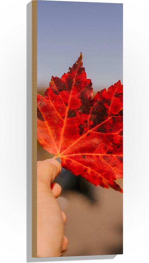 Hout - Rood Gekleurd Blad in Mensenhand - 30x90 cm - 9 mm dik - Foto op ...