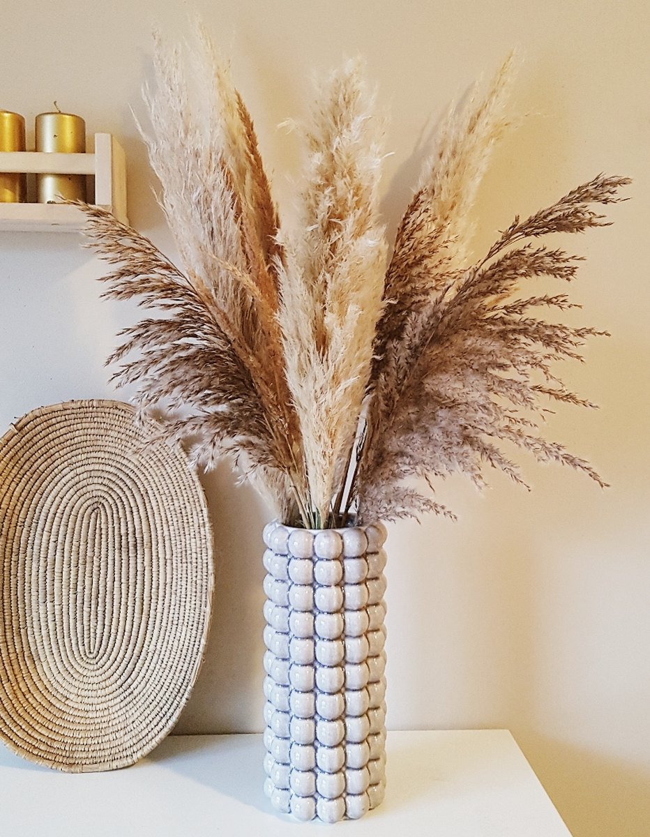 Pampas pluimen - Gekleurd - XL boeket - Pampaspluimen - Met Vaas ...