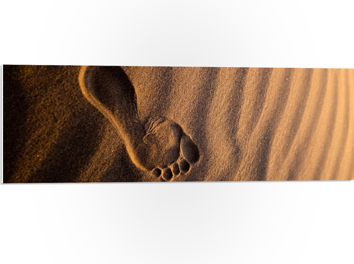 PVC Schuimplaat- Voetafdruk in het Zand - 90x30 cm Foto op PVC ...