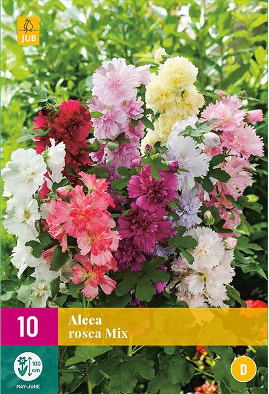 10 Stokrozen Planten Gemengd - Verschillende Kleuren - Vaste Plant ...