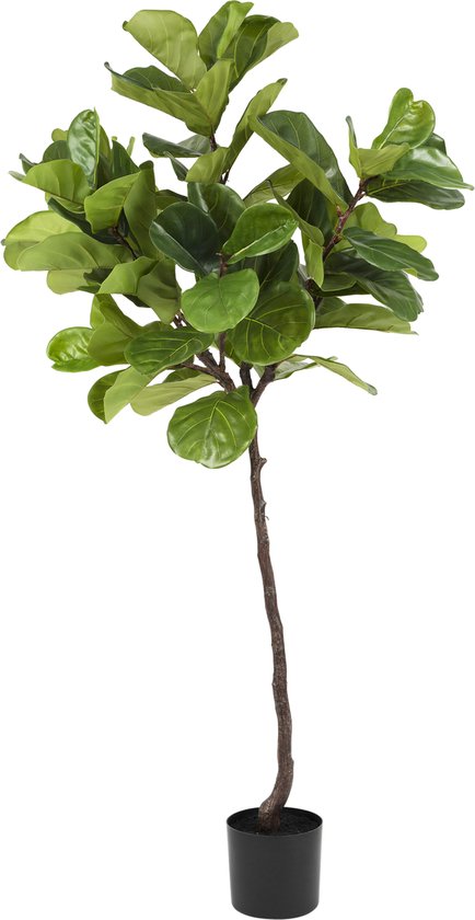Greenmoods Kunstplanten - Kunstplanten - Ficus Tabaksplant Deluxe ... Greenmoods Kunstplanten - Kunstplanten - Ficus Tabaksplant Deluxe ...