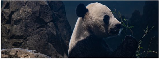 WallClassics - Poster (Mat) - Etende Panda op een Rots - 90x30 cm Foto ...