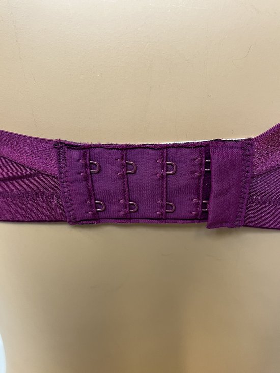 Anita Prothese BH Josephine paars cyclaam 75D Beha | bol.com