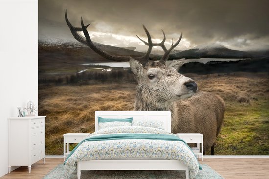 Behang - Fotobehang Gewei - Hert - Berg - Breedte 390 cm x hoogte 260 ...