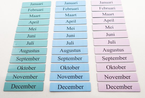 Magneten maanden van het jaar - Januari t/m December - Roze | bol.com