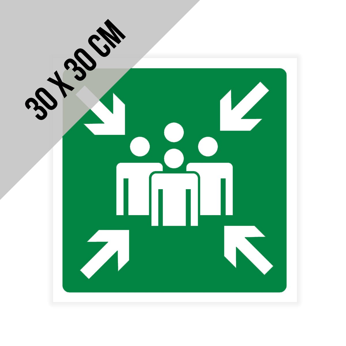 Icône/image | Évacuation du point de rassemblement | 30 x 30 cm | Ultra ...