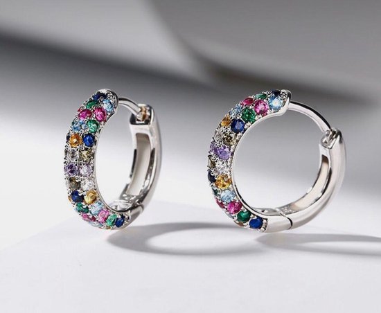 Zilveren regenboog zirkonia oorbellen | bol.com