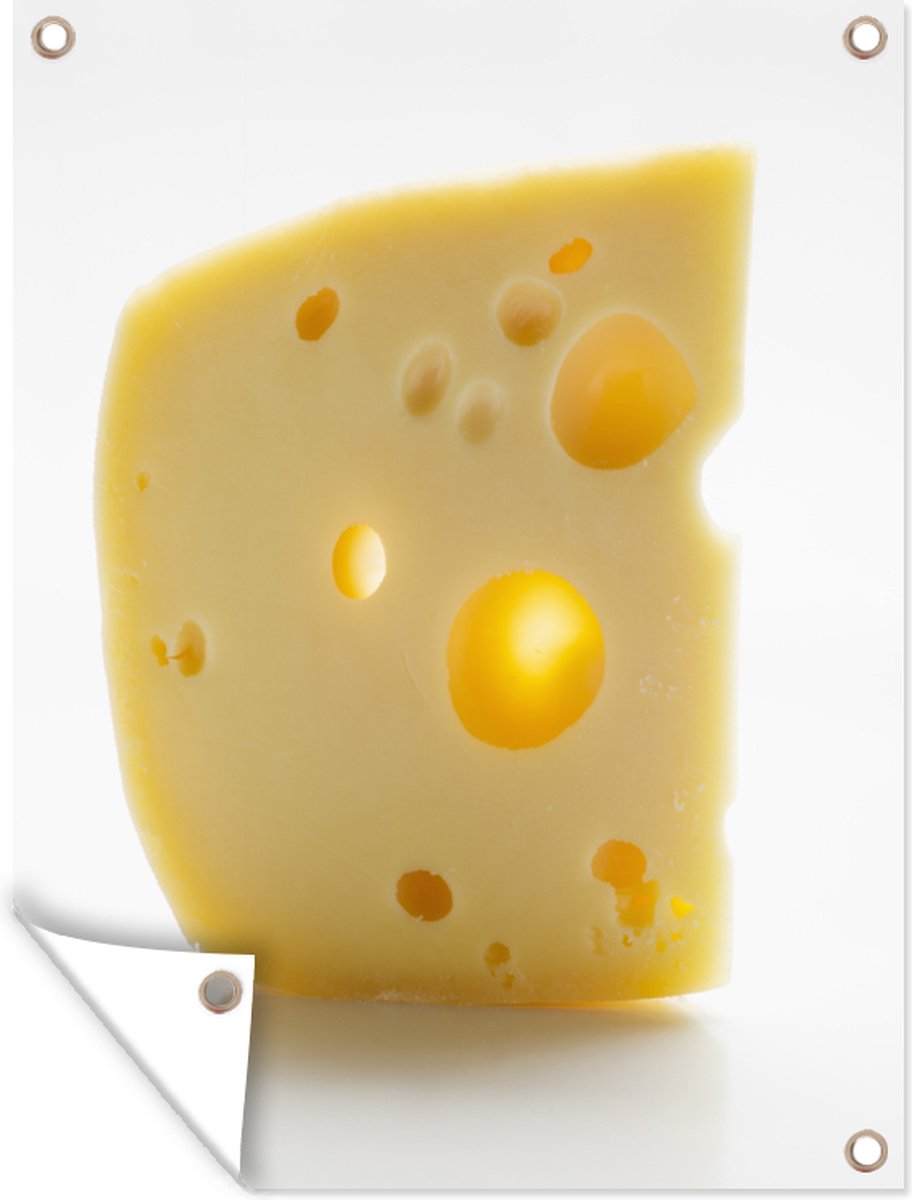 Tuinschilderij Een blok kaas met gaten - 60x80 cm - Tuinposter | bol.com