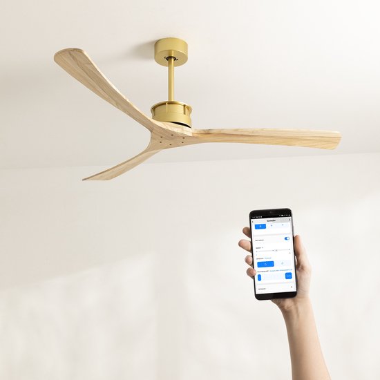 CREATE - Plafondventilator 40W silent XL Ø152 cm - Zomer/Winter Functie ...