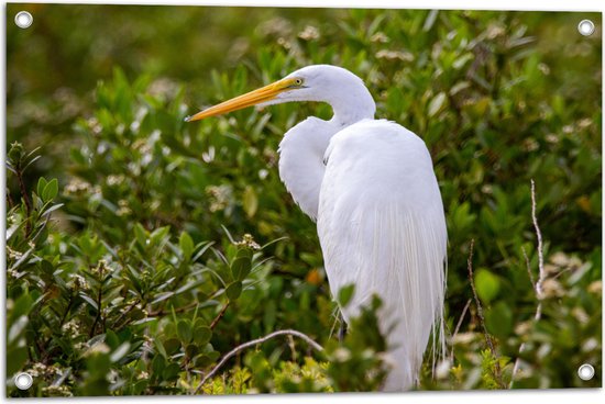 WallClassics - Tuinposter – Witte Reiger tussen de Planten ...